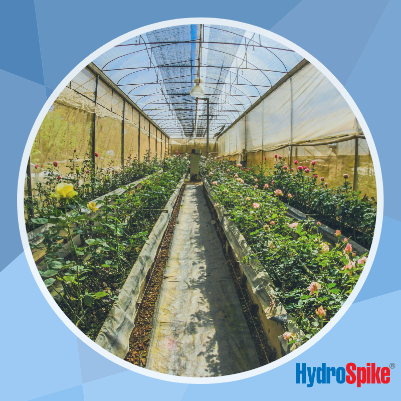 HydroSpike Dripline System Starter Kit: Portable Water Drip Irrigation ...