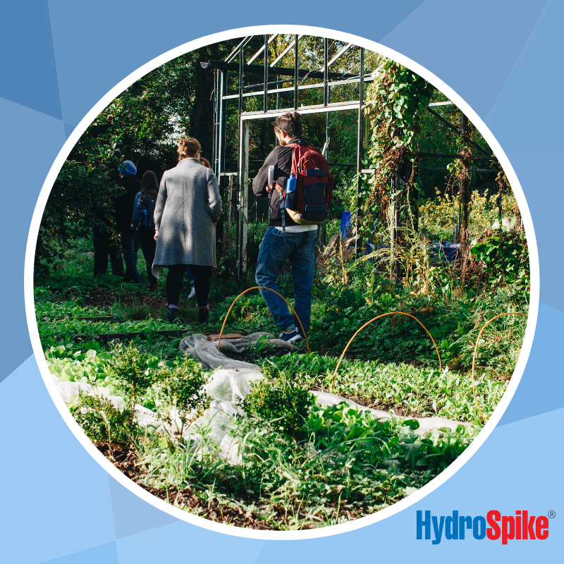 HydroSpike Dripline System Starter Kit: Portable Water Drip Irrigation ...
