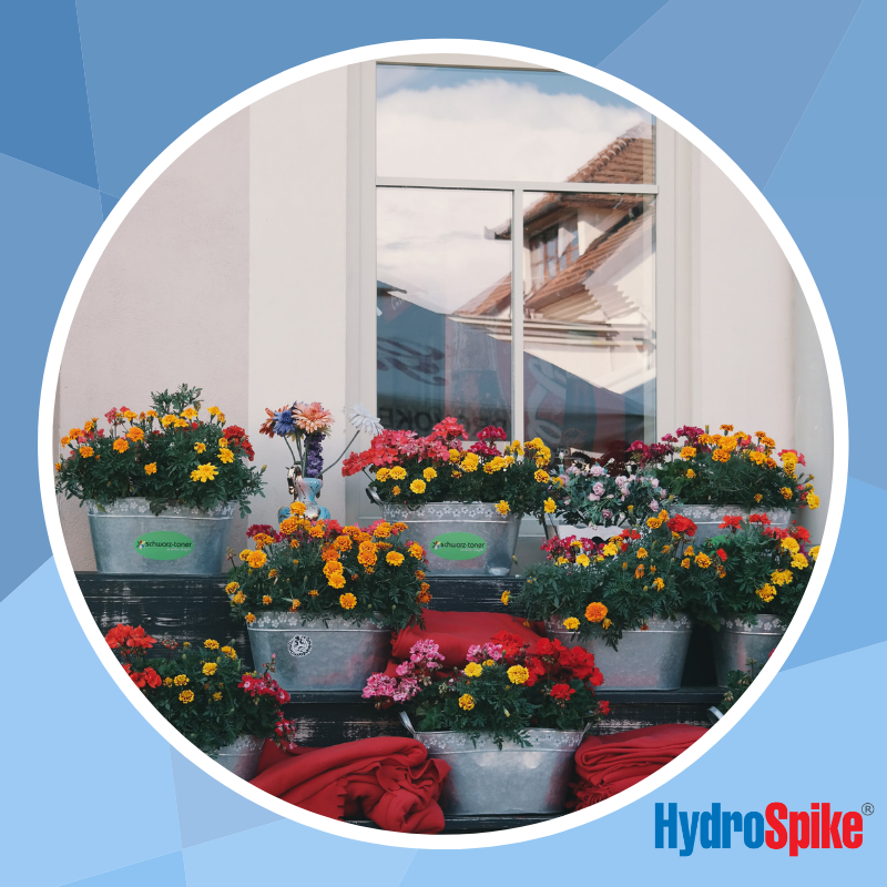 HydroSpike Dripline System Starter Kit: Portable Water Drip Irrigation ...