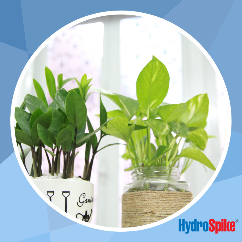 HydroSpike Super Handy Sprayer: Full range spray gun nozzle jet mister ...