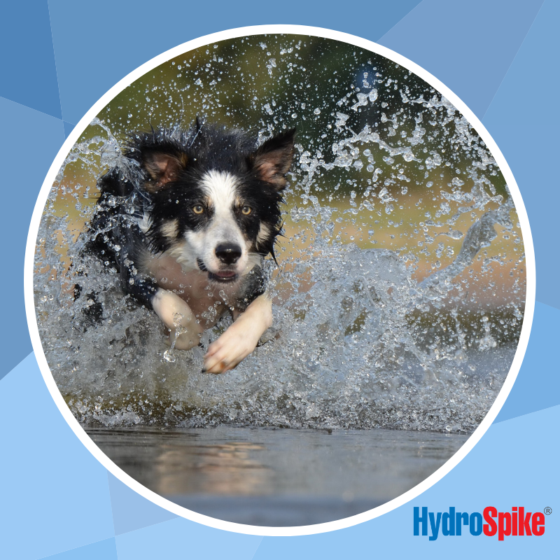 HydroSpike® Super Handy Sprayer (HSS) - HydroSpike®